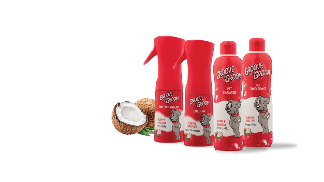 Groove N Groom - Pet Grooming